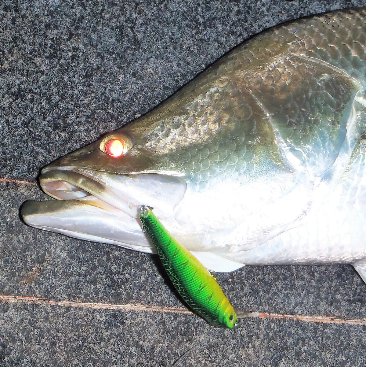 Finesse Hard Body Lure Fishing – Blue Seas Tackle Co