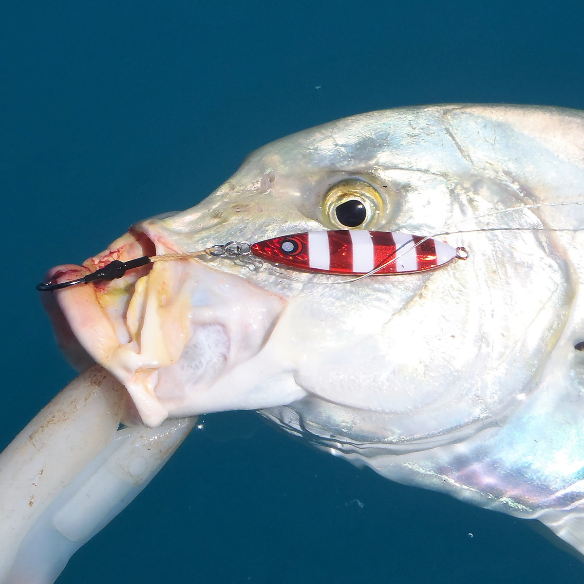 The Reef Jigger Gift Pack – Blue Seas Tackle Co